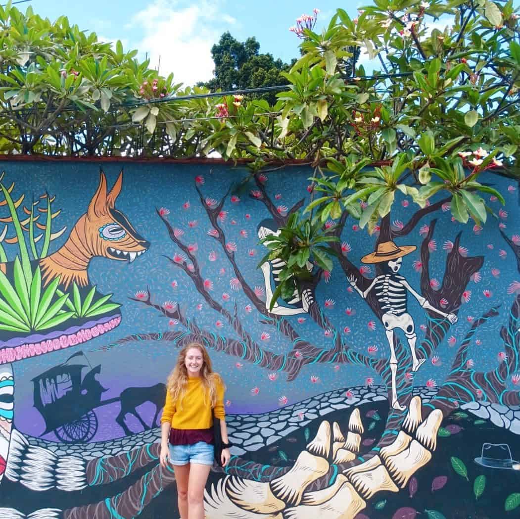 Oaxaca Street Art Guide & Map - Where Goes Rose?