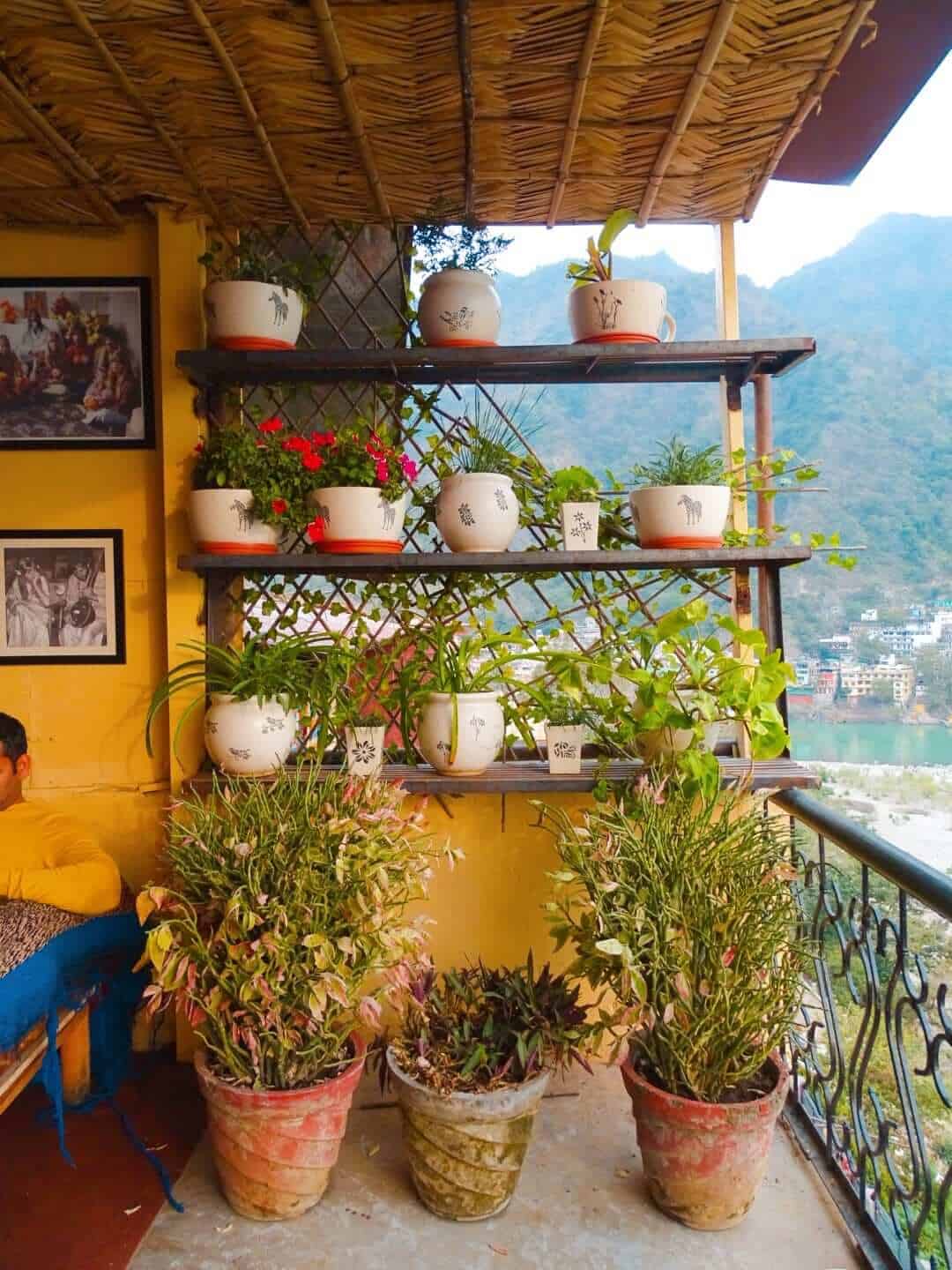 16 Best Cafes in Rishikesh For Coffee & Food - Where Goes Rose?