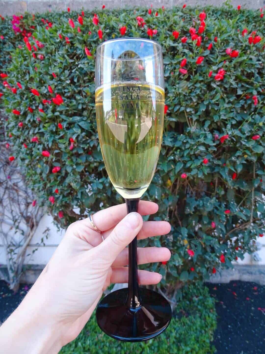 Complete Guide To Visiting Queretaro Wine Region, Mexico
