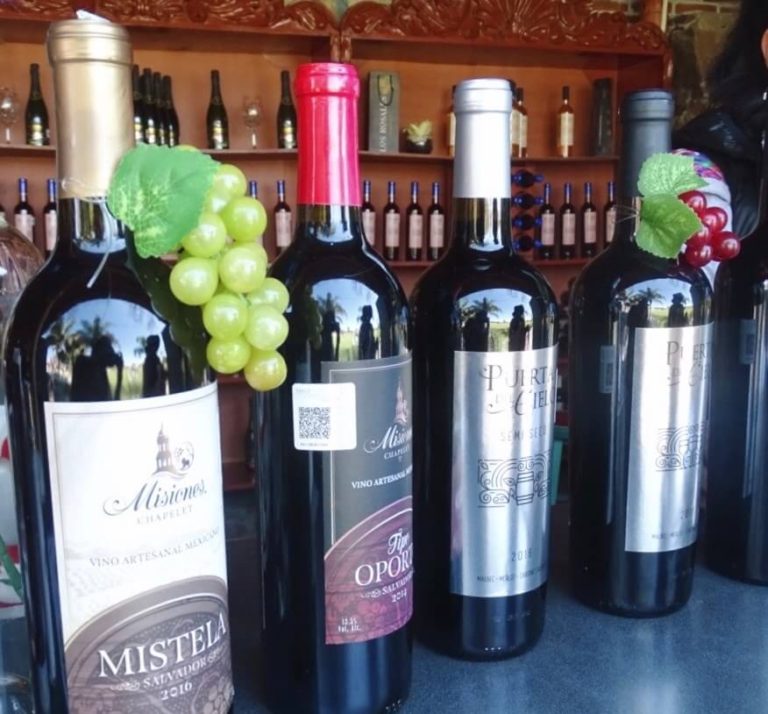 Complete Guide To Visiting Queretaro Wine Region, Mexico