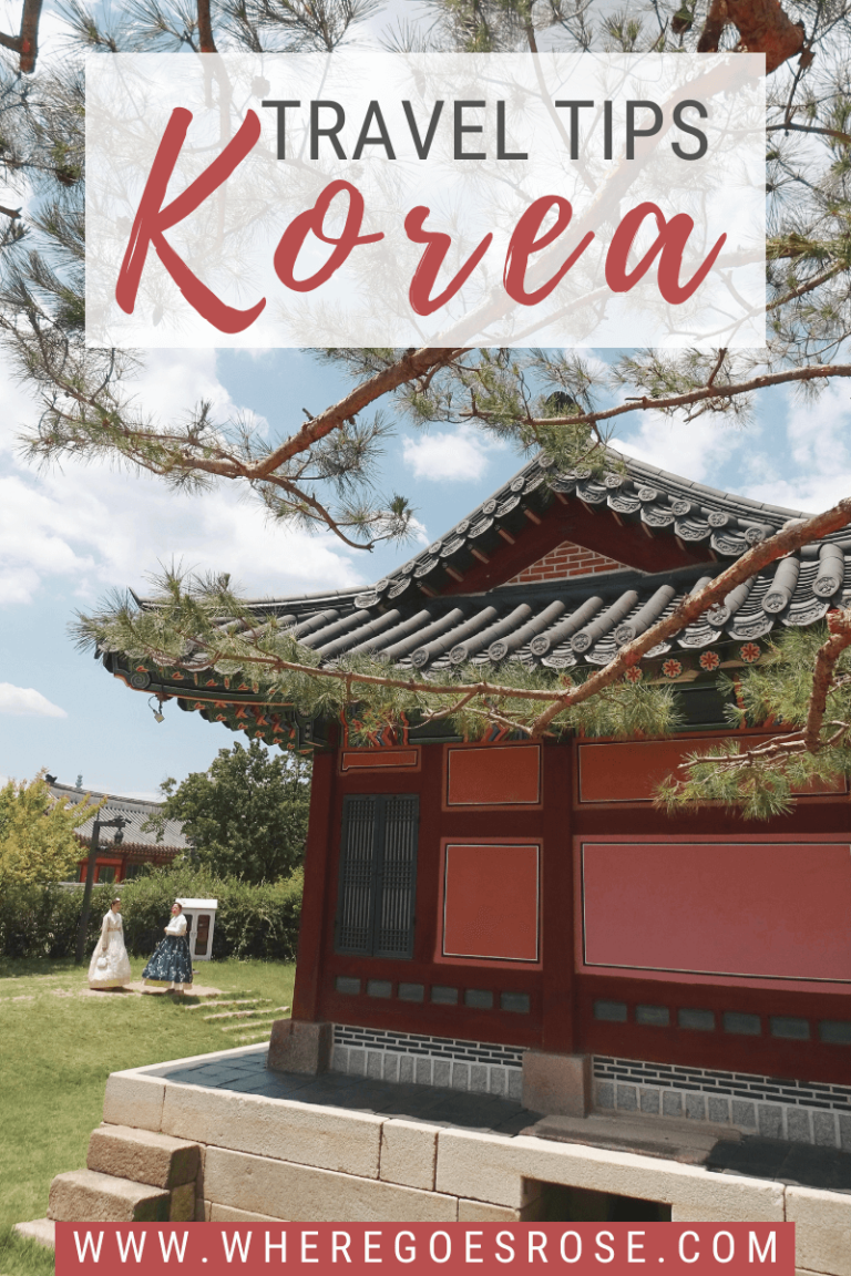 30 South Korea Travel Tips To Know Before Going! - Where Goes Rose?
