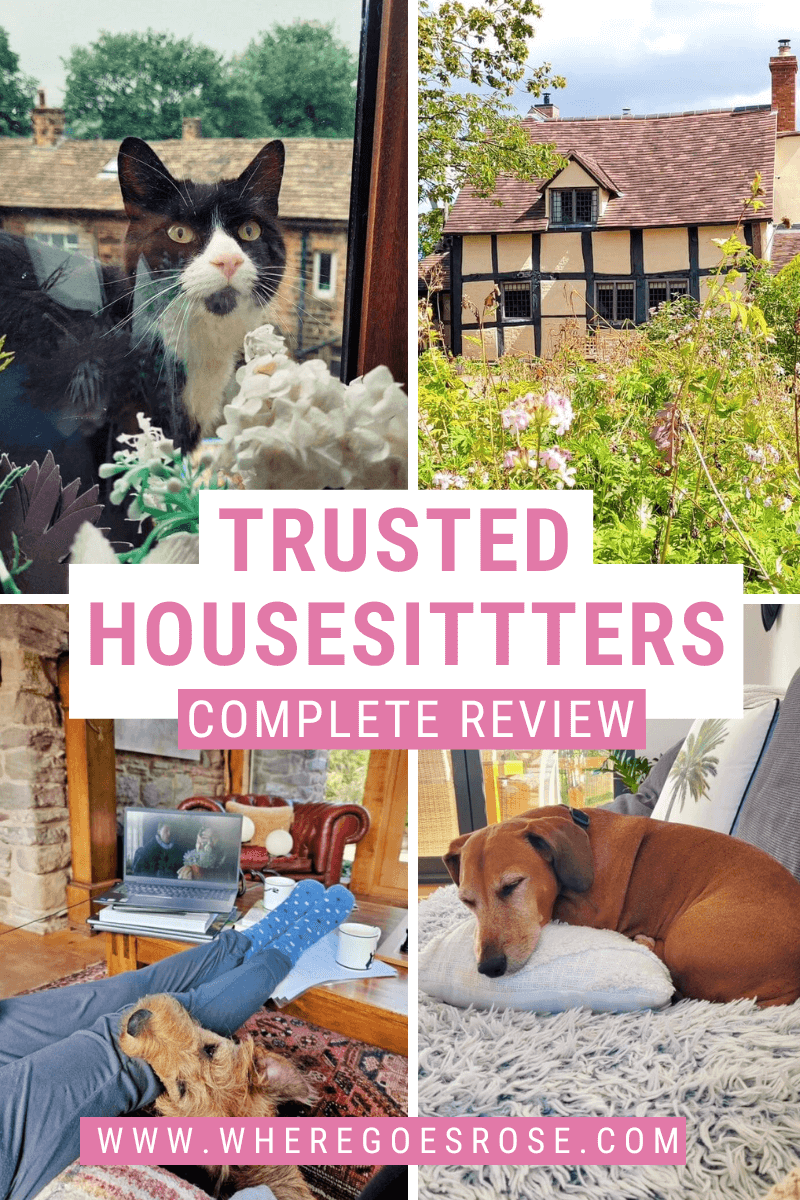 TrustedHousesitters Review By a Full-Time Pet Sitter (Is It Legit?)