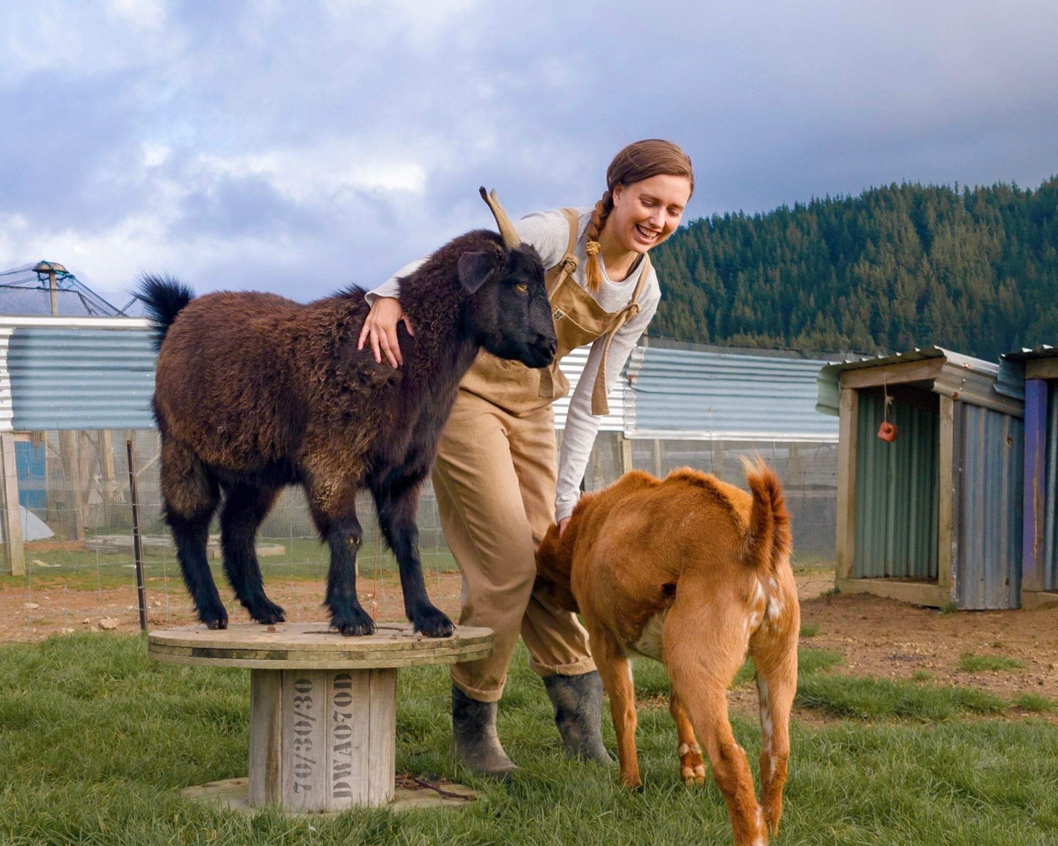 Honest Workaway Review & How To Get Started - Where Goes Rose?