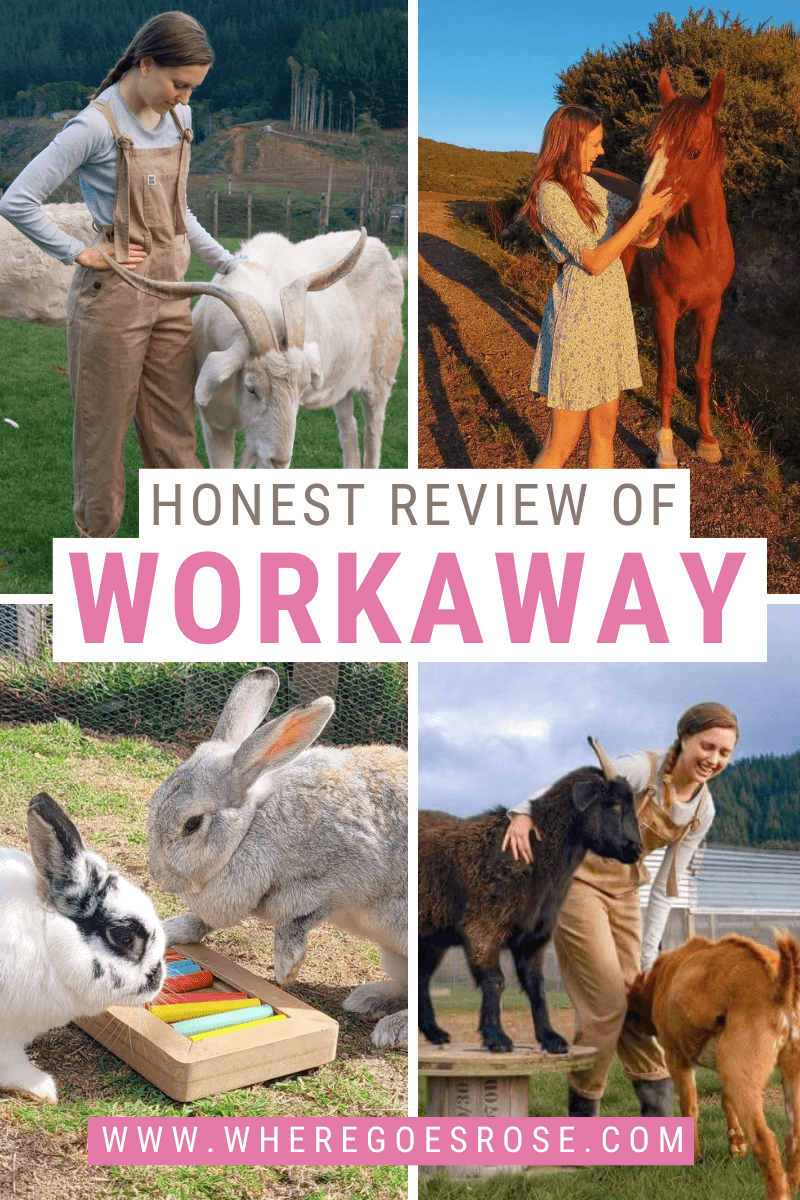 Honest Workaway Review & How To Get Started - Where Goes Rose?