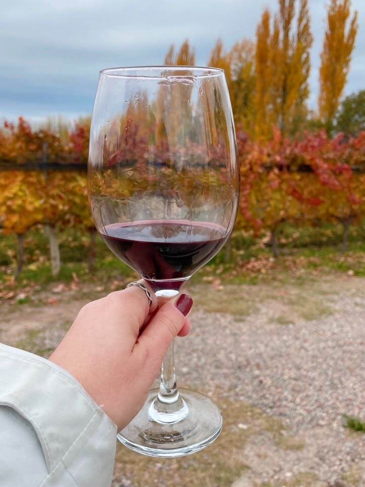 Ultimate Argentina Itinerary For 2 Weeks (2025) - Where Goes Rose?