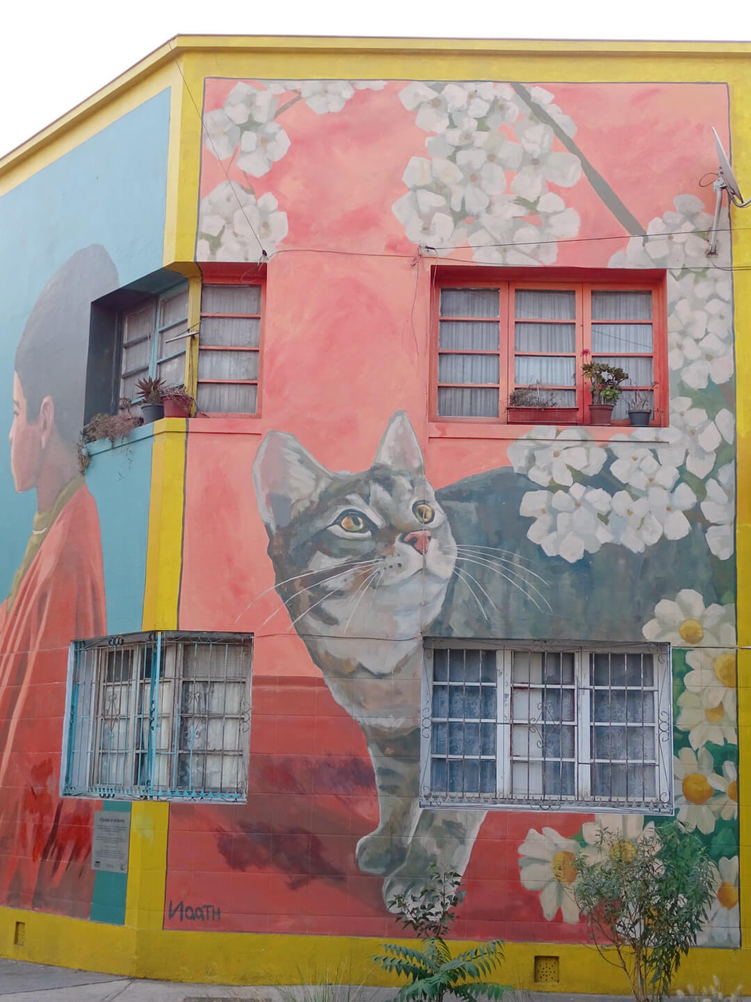 Chile Solo Travel - By Your Fave Female Traveller!